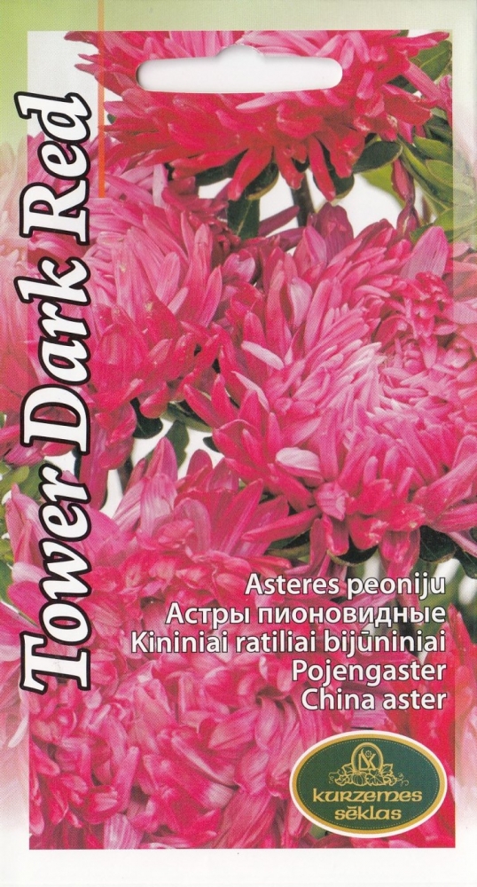 Asteres Peoniju Dark Red Tower sēklas 0,5gr Kurzemes sēklas, Ziedu ...