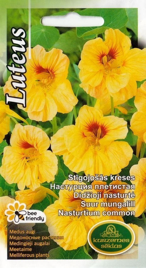 Kreses stīgojošās Luteus sēklas 3gr Kurzemes sēklas, Ziedu sēklas ...